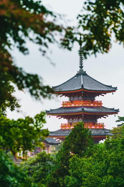 Kyoto Visiting Tour - Fushimi Inari Taisha