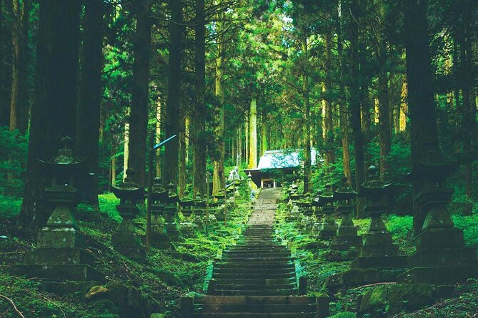 Kyushu Tour of Shrines Sakura Gorges and Landmarks From Fukuoka - Itinerary Highlights