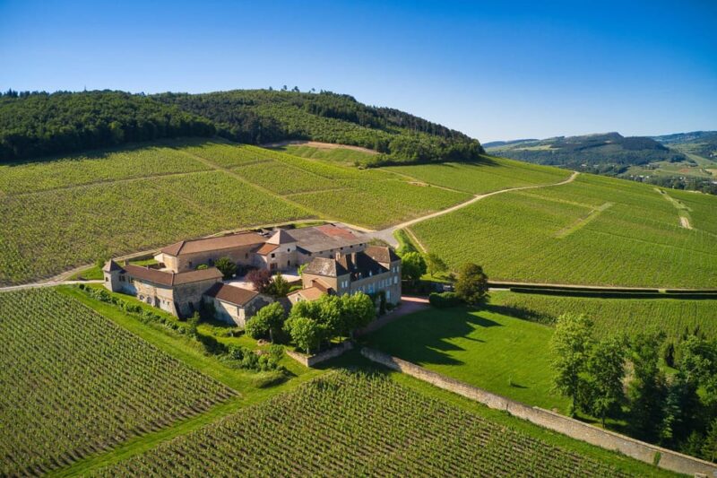La Roche Vineuse: Visit to the Vine and Wine Museum - Appreciating the Winemaking Traditions