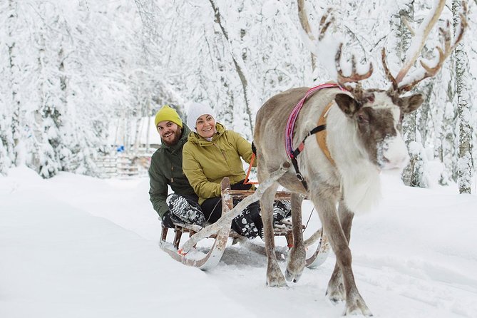 Lapland Reindeer and Husky Safari From Rovaniemi - Final Thoughts on the Adventure