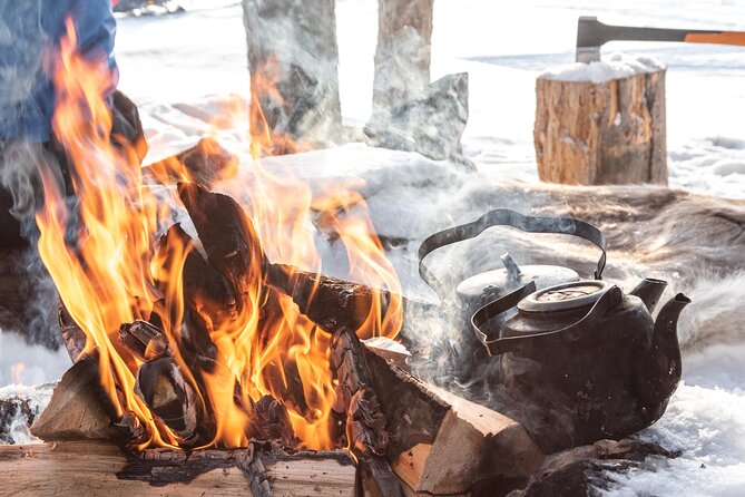 Lapland Winter Experience - Appreciating the Local Flora and Fauna