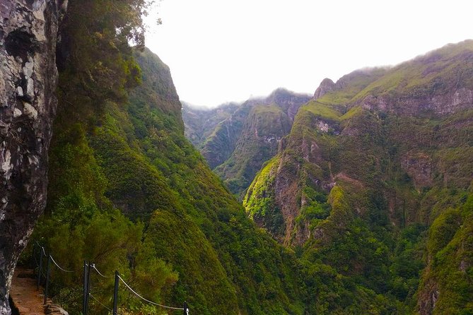 Levada Do Caldeirão Verde Levada Walk From Funchal - Tour Options and Booking Information for the Levada Do Caldeirão Verde Levada Walk