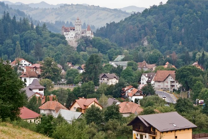 Libearty Bear Sanctuary and Dracula's Castle Review - Adopt-a-Bear Program