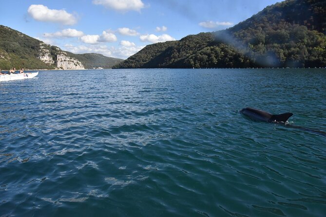 Lim Bay Outrigger Canoe Tour - Customer Testimonials