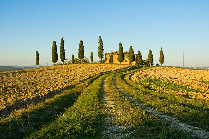 Livorno Shore Excursion: Chianti and Tuscany Countryside Private Wine Tour - Highlights of the Tour