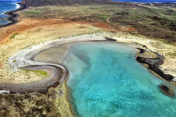 Lobos Island - the Dolphin Route - Duration and Pricing Details