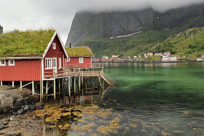 Lofoten VIP PRIVATE Tour From Leknes City / Port - Customer Testimonials