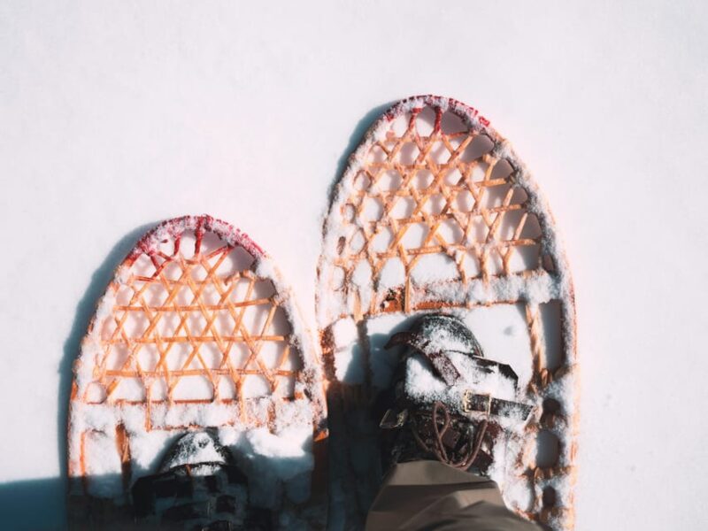 Lucerne: Snowshoe Hiking Adventure to Glaubenberg Langis - Relaxing at a Typical Mountain Bar