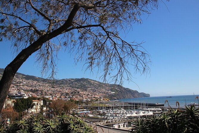 Madeira Essence Half Day Tour for Cruises - What to Expect on the Tour
