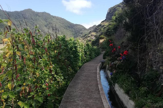 Maroços - Mimosa Valley - Booking and Traveler Feedback