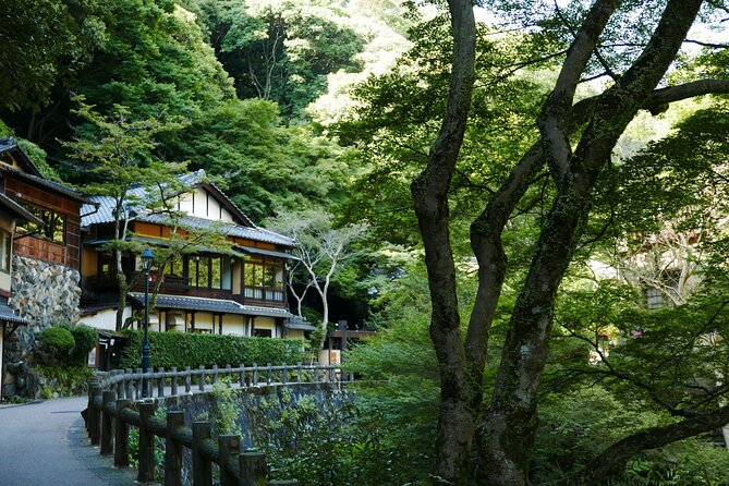 Minoh Waterfall and Nature Walk Through the Minoh Park - Accessibility and Physical Requirements
