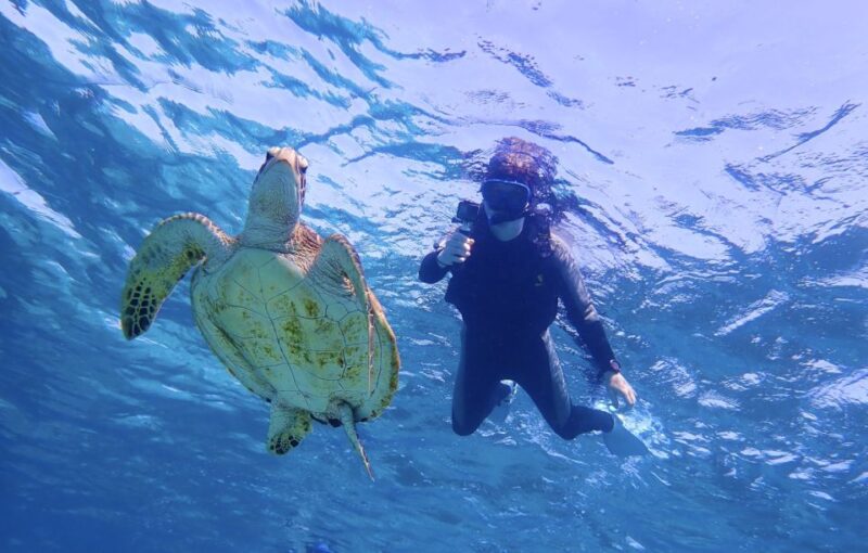 Miyako Island: Kayaking and Snorkeling Experience - Lunch and Refreshments