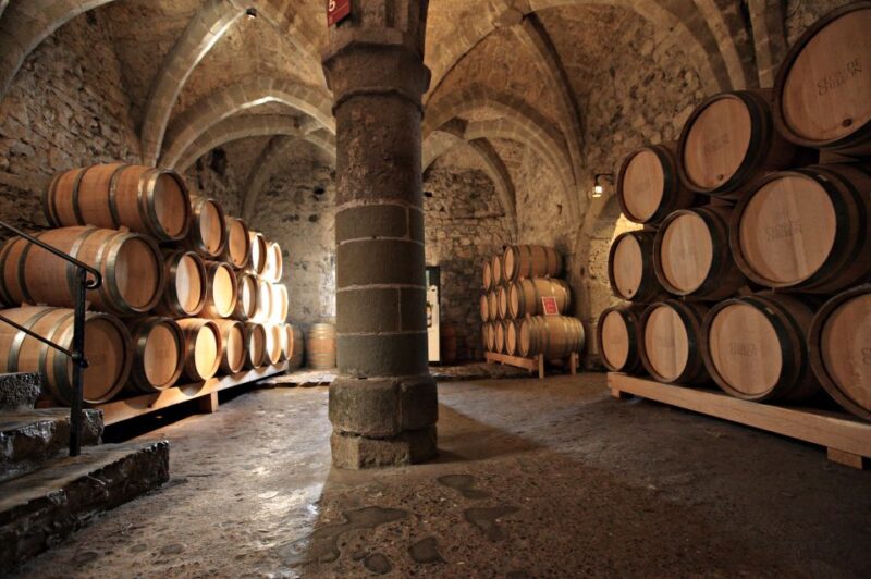 Montreux: Chateau Chillon Entrance Ticket - Accessibility and Visitor Amenities