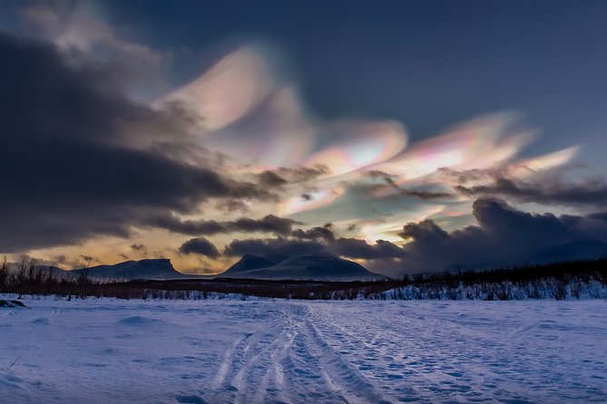 Morning Hike in Abisko National Park - Traveler Reviews and Feedback