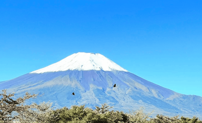 Mount Fuji and Hakone Customize Private Tour English Guide - Booking and Flexibility