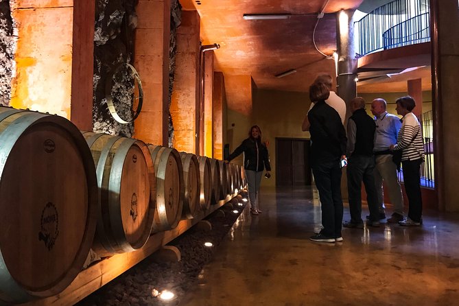 Mount Teide and Tenerife North With Food & Wine Tasting Private Tour - Exceptional Guide Service