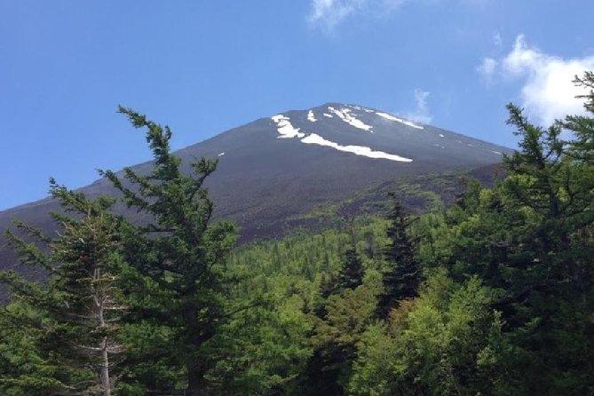 Mt Fuji & Hakone Cruise, Drum Show Bus 1 Day From Tokyo - Tour Guide Qualifications