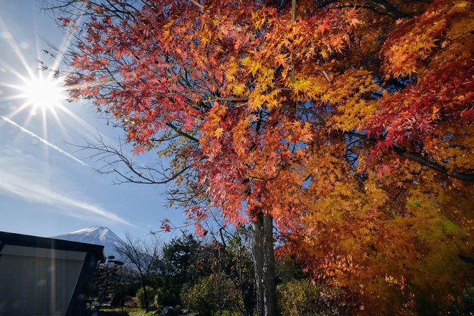 Mt. Fuji & Hakone Day Tour From Tokyo by Car With JP Local Guide - Exploring Mt. Fuji