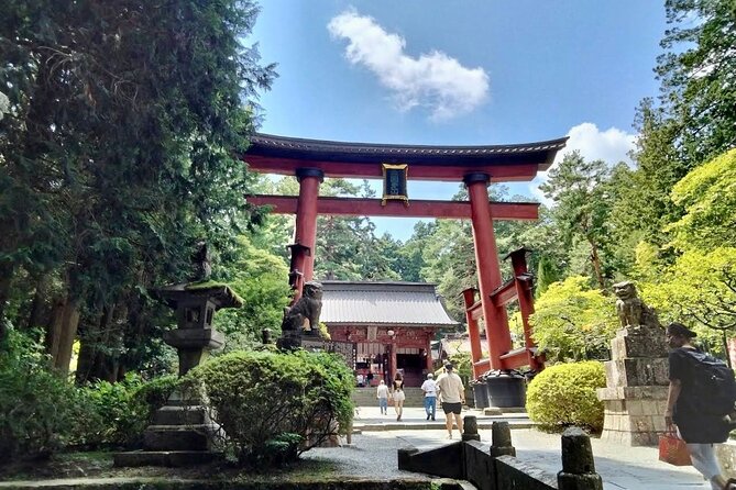 Mt Fuji & Hakone Private Day Tour W/ English Speaking Guide - Customer Feedback and Ratings