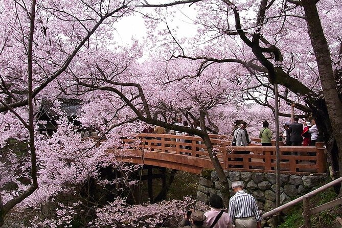 Mt Fuji, Hakone Private Tour by Car Pickup From Tokyo - Highlights of the Tour