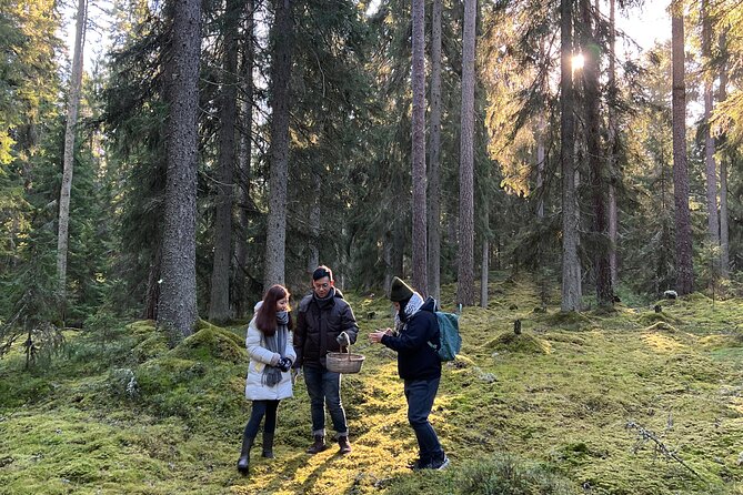 Mushroom Hunting in a National Park - The Knowledgeable and Friendly Guides