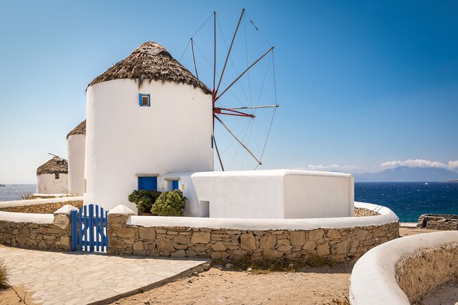 Mykonos Adventure: Town Stroll & Beach Escape From Cruise Port! - Relaxing at Elia Beach