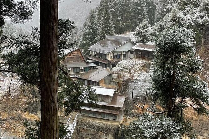 Nagano: Snow Monkey and Zenkoji Temple Free Sake Taste Day Tour - Exploring the Snow Monkey Park