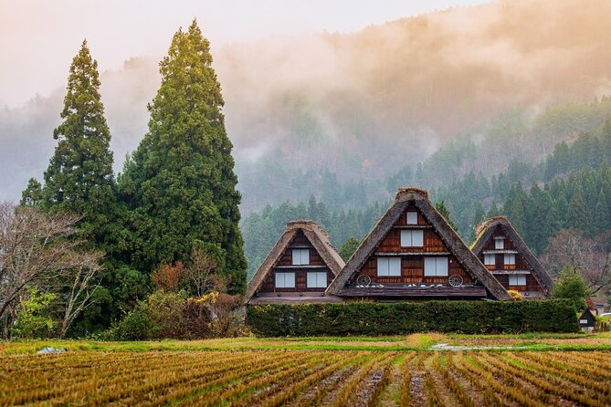 Nagoya to Takayama & Shirakawa World Heritage English Guide - Recommendations and Considerations