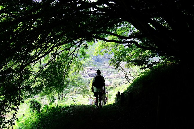 Nakasendo Self-Guided Walking Tour 2 Days - What to Expect