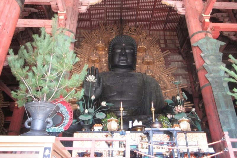NARA: Giant Buddha, Free Deer in the Park (Italian Guide) - Insights Into Japanese Culture and Buddhism