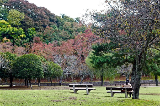 Nara Private Customizable Full Day Tour - Common Questions