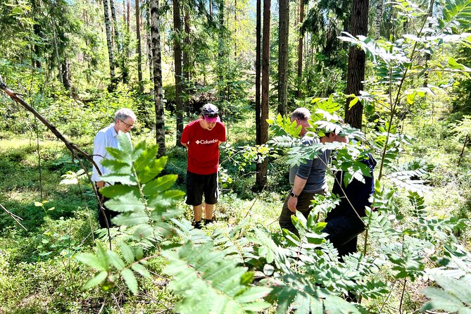 National Park Hike & Finnish Smoke Sauna Experience With Campfire Lunch - Health and Safety Considerations