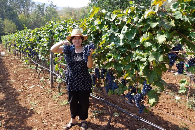 National Parks and Wine Tasting (Np Lovcen, NP Skadar Lake, Cetinje, Njegusi) - Discovering the History and Culture of Cetinje