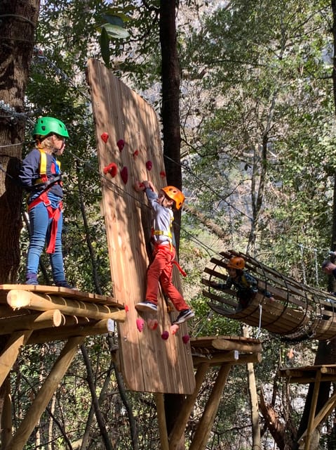 Nice: Discovery Tree Climbing for Children in a Natural Setting - Since You Asked