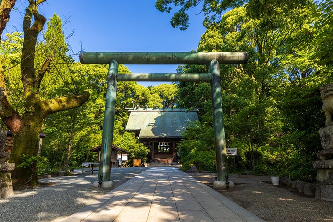 Ninja, Samurai, Odawara Castle Experience - Participant Feedback and Recommendations