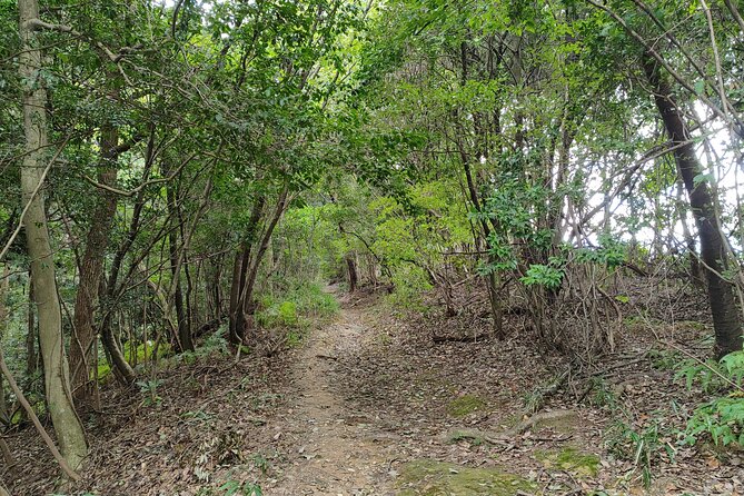 Off The Beaten Path Hike Through Kyotos Best Spots - Booking and Cancellation Policy