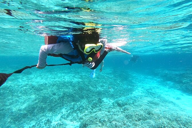 [Okinawa Iriomote] Snorkeling Tour at Coral Island - Exploring the Coral Reefs