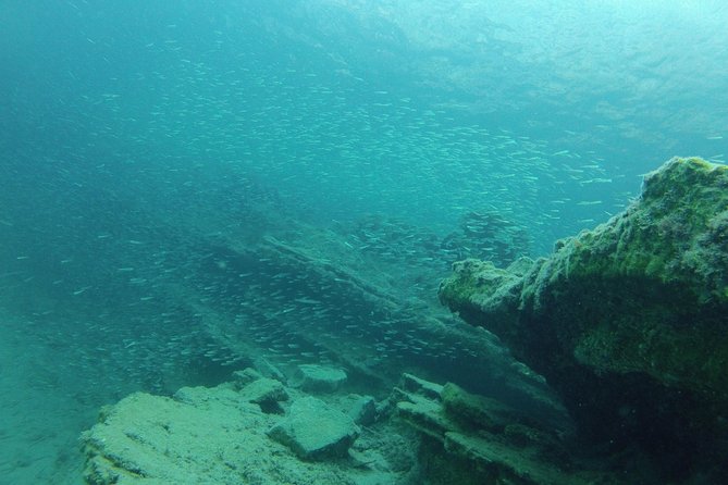 Olous – Guided Snorkelling Excursion to Discover Olous Sunken Ancient City - Reviews and Ratings