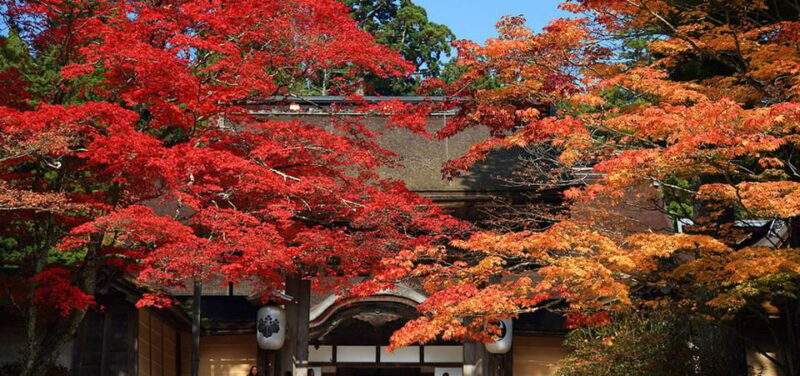 One Day Private Customized Self-Guided Tour in Wakayama - Cancellation and Refund Policy