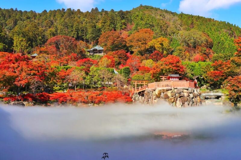 Osaka: Katsuo-ji Temple Autumn Leaves Guided Tour - Vibrant Autumn Leaves at Katsuo-ji Temple