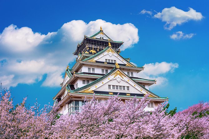 Osaka Private Food Tours by Local Foodies: 100% Personalized - Personalized Experiences for Every Palate