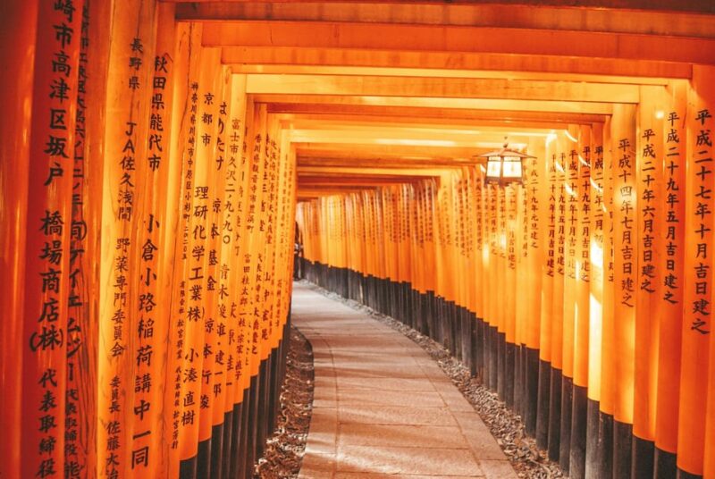 Osaka:Kyoto & Nara UNESCO World Heritage Sites Guided Tour - Transportation and Logistics