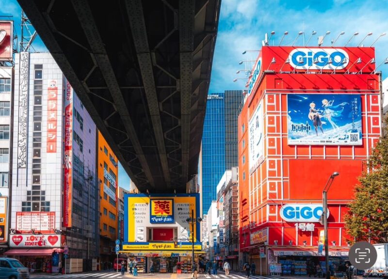 Otaku Tokyo Akihabara and Nakano Tour - Insider Tips