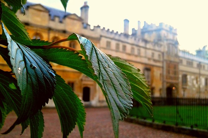Oxford PRIVATE Pub and City Evening Walking Tour - Enjoying a Personalized Experience