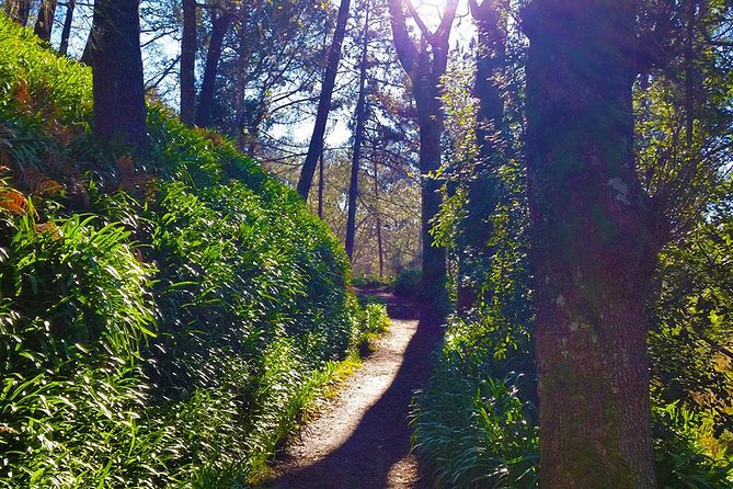 Paradise Valley - Levada Walk - Traveler Feedback and Recommendations