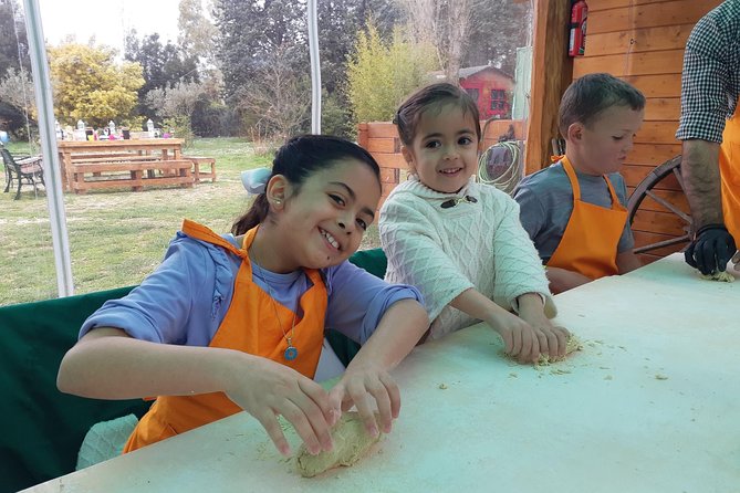 Pasta and Pizza Master Class and Tiramisu Tasting - Tips for an Enjoyable Experience