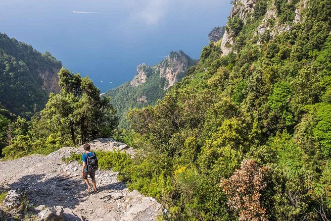 Path of the Gods With Enzo - Along the Amalfi Coast - Booking and Availability