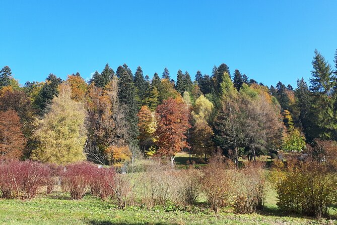 Peles Castle and Optional Cantacuzino Castle From Brasov - Discovering Peles Castle and Pelisor Castle