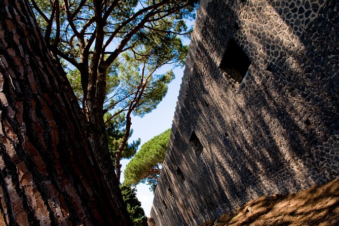POMPEI Half Day TOUR - Departure From NAPLES Centre (Ticket INCLUDED) - Recommendations for a Smooth Tour