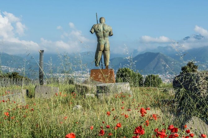 Pompeii and Naples Day Trip From Rome by High Speed Train - Traveler Feedback and Experiences